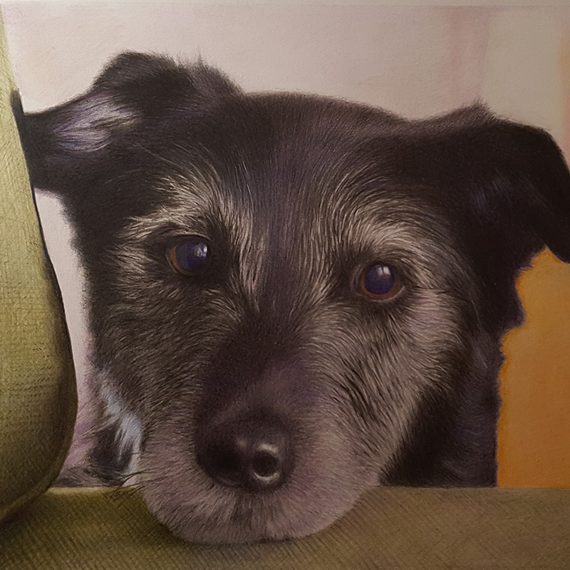 George the dog - ModernMasterArt